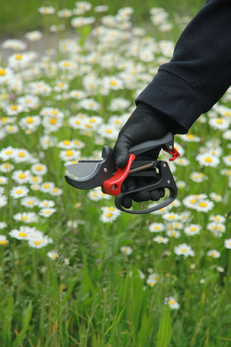 SWISSORS® Mark II – Cutting Edge Technologies